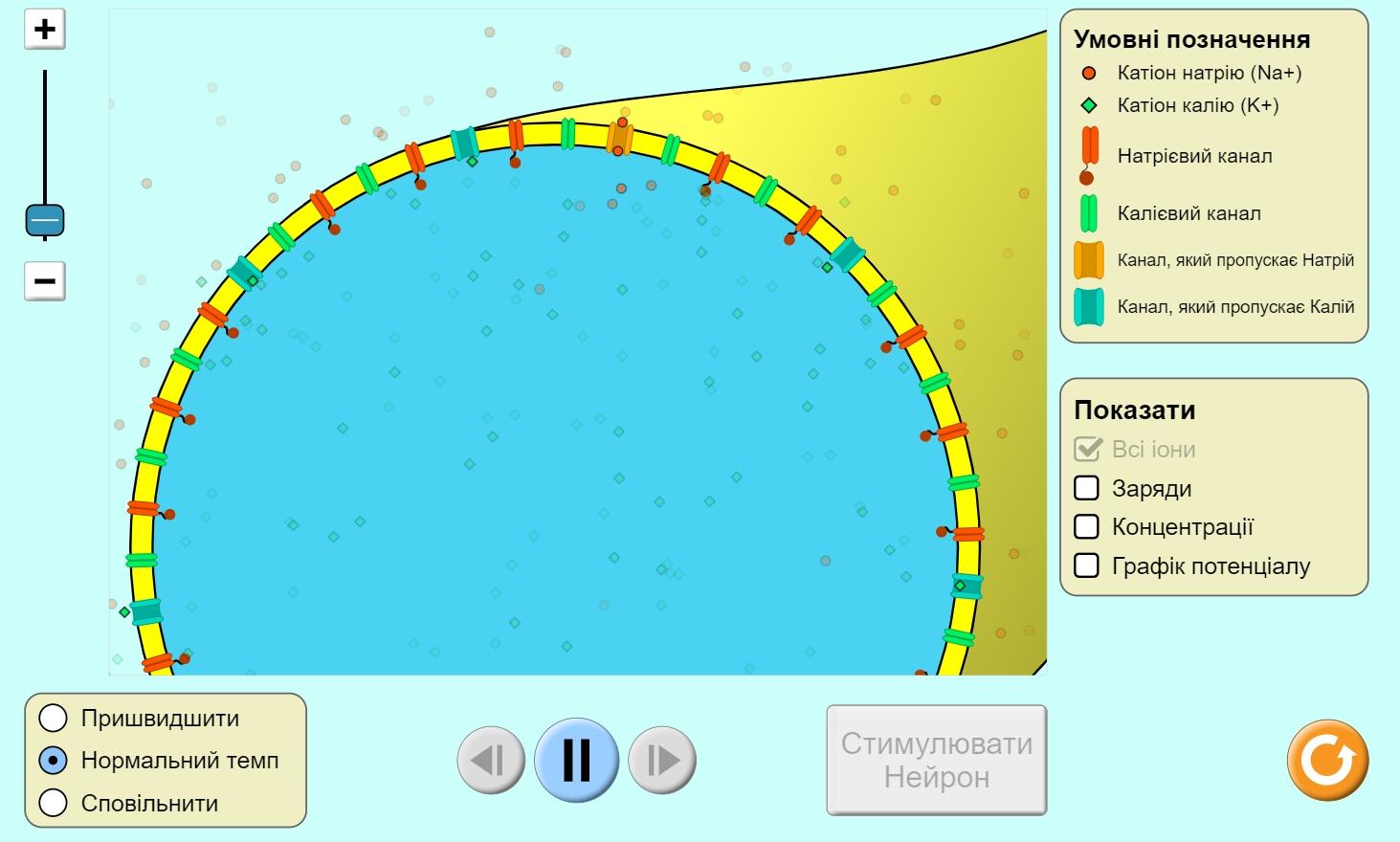 PhET – интерактивные симуляции для уроков естественно-научного цикла – ORT-STEM